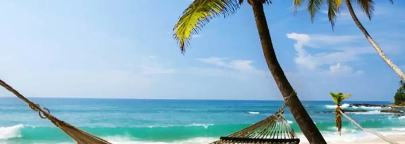 8 Beaches near Pune that you ought to Visit (2024)