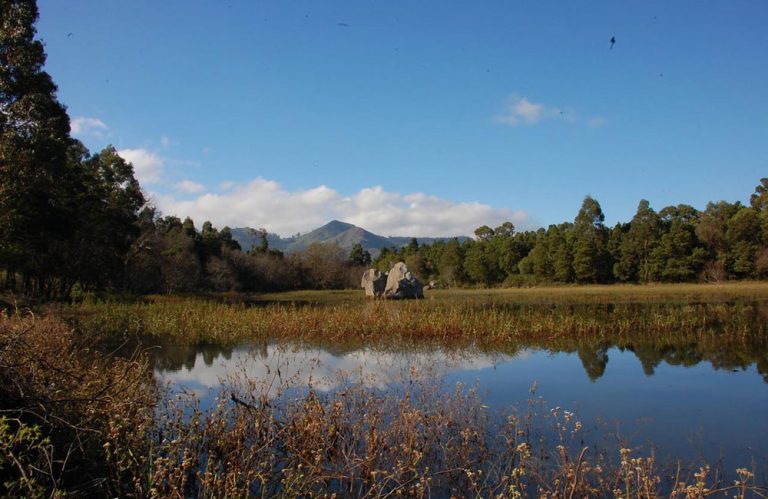 Top 14 Hill Stations near Coimbatore with Location & Distance