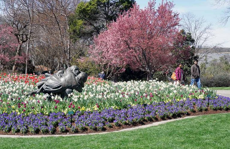 20 Best Things to Do in Noida: Activities list with Location