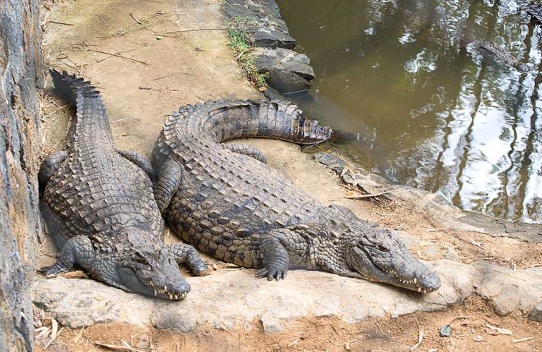 Top 8 Fun Places to Visit in Mumbai : Location, Entry Fee