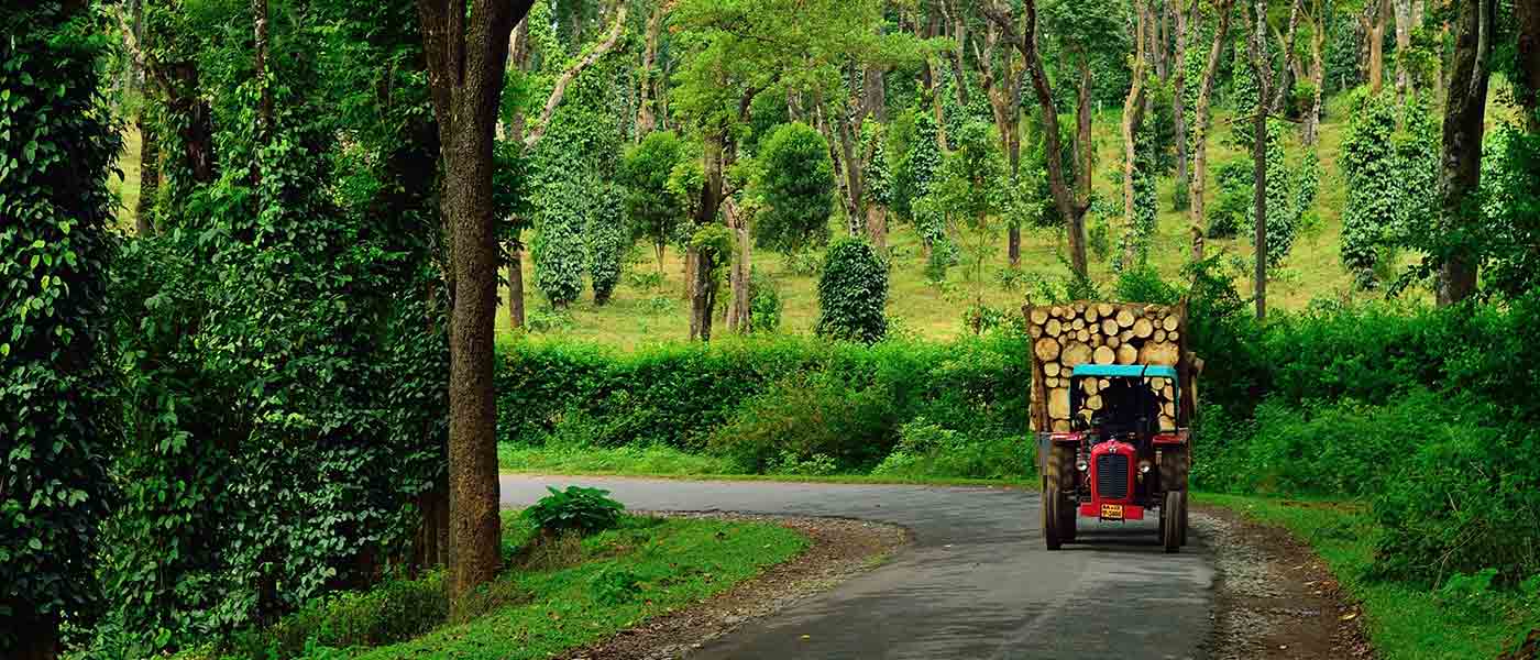20 Tourist Places to Visit in Coorg 2023: Location, Timings