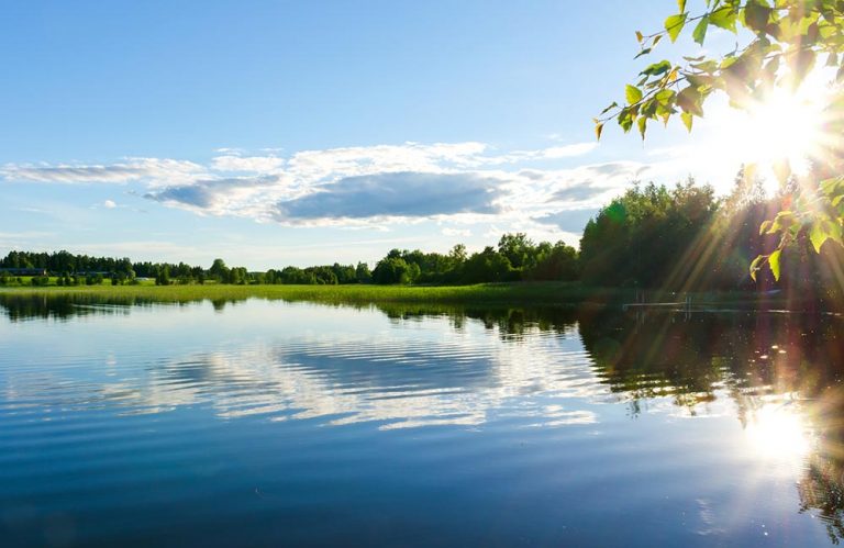 11 Best Picnic Spots in Indore Fee, Timing, Best Time to Visit