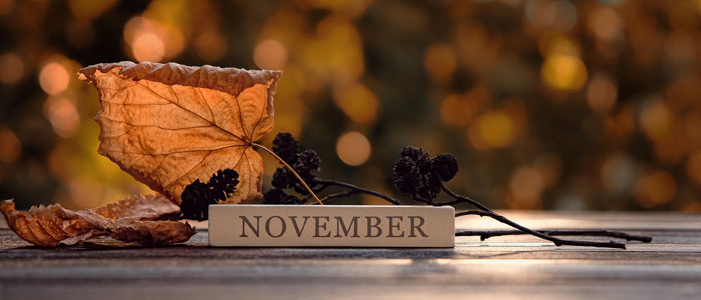 19 Best Places to Visit in November in India (2024)