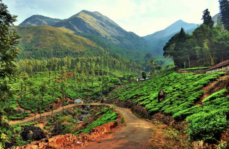 20 Tourist Places to Visit in Wayanad with How to Reach Info